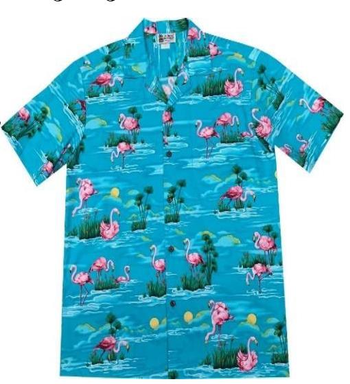 Artemis Program Hawaiian Flamingo Button Up Shirt – myNASAstore