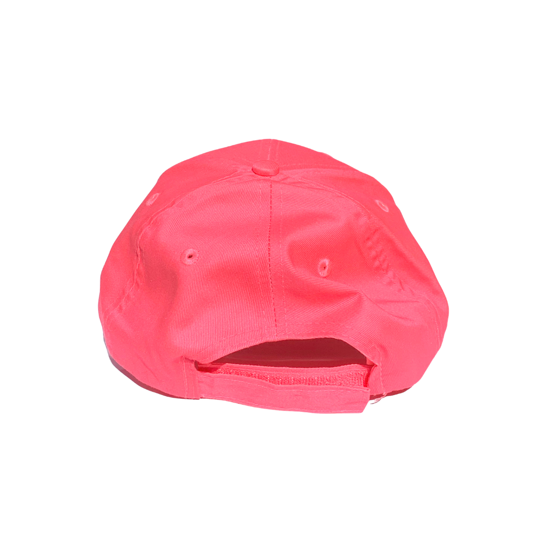 NASA Pink Cap with White NASA Worm – myNASAstore